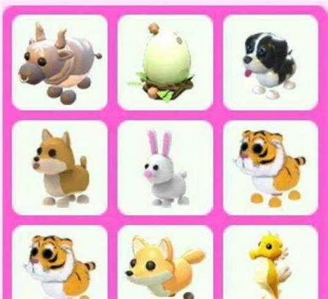 Петы в адопт ми Festima Ru Мониторинг объявлений