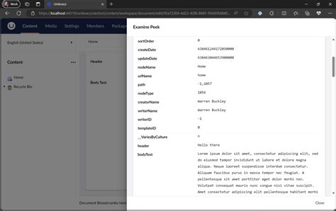 my first umbraco bellissima package hack make do