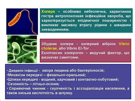 Інфекційні хвороби з фекально оральним механізмом передачі