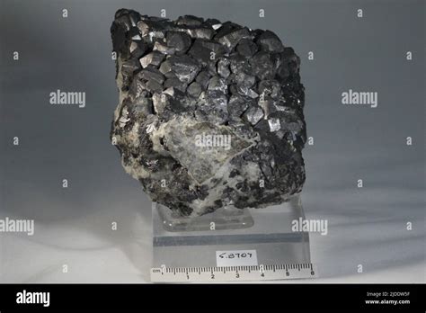 Galena Minerals Europe Romania Maramure Maramure Cavnic