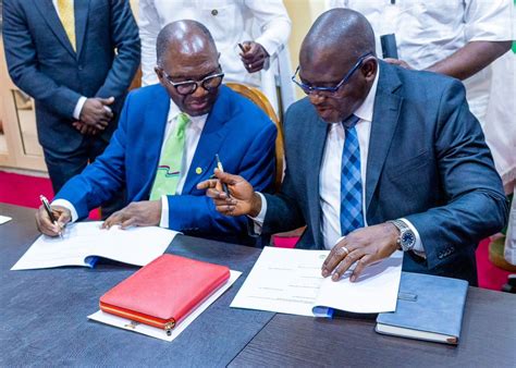 Tax Harmonisation Firs Signs Mou With Lirs For Joint Tax Operations