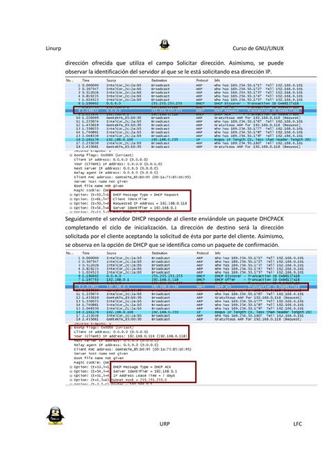 Protocolo Dhcp Pdf