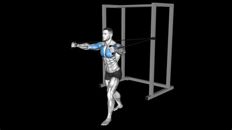 Band Chest Fly How To Video Alternatives And More