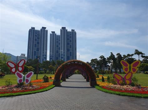 부산시 지속가능한 미래 도시모델 바이오필릭 시티 회원도시로 인증