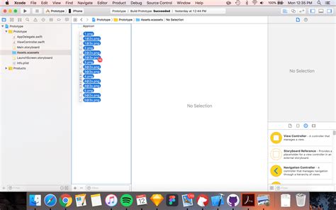 Xcode 8 Swift 3 Appicon Supermarketgross