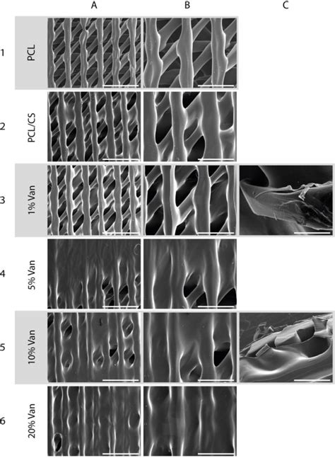 Sem Micrographs Of The 1 Pcl 2 Pcl Cs And 3 4 5 6 Pcl Cs Van