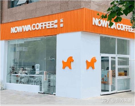 挪瓦咖啡加盟费多少钱？2023年挪瓦咖啡加盟流程条件费用明细汇总！ 知乎
