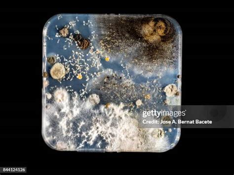Decomposition Computer Science Photos And Premium High Res Pictures