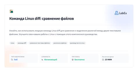 Команда Linux Diff сравнение файлов Labex