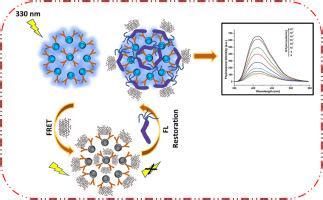 基于碳点和氧化石墨烯的 FRET 免疫传感器灵敏检测幽门螺杆菌 Analytical Biochemistry X MOL