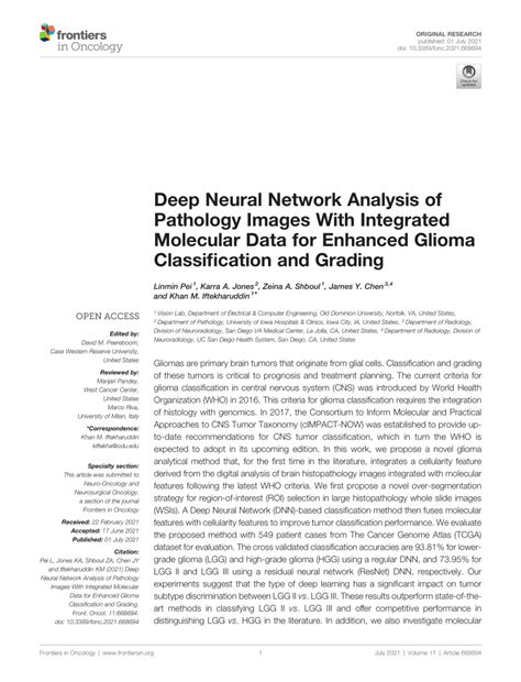 Pdf Deep Neural Network Analysis Of Pathology Images With Integrated Molecular Data For