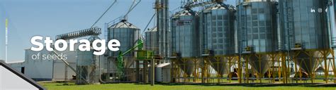 Our Company Argenetics Semillas Innovación Genética Argentina