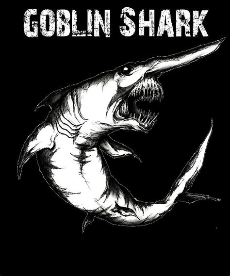 Goblin Shark Goblin Shark Shirt Goblin Shark Drawing Shark