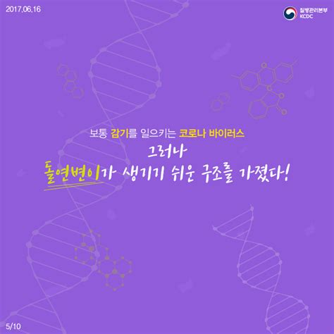 코로나 바이러스 패밀리 카드뉴스 홍보자료 알림·자료 질병관리청