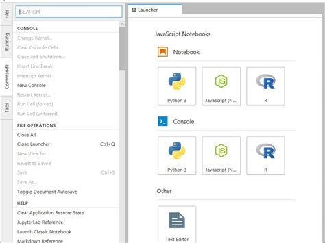 Jupyterlab Jupyter Notebook It