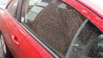 Why Cars Were Covered In A Layer Of Saharan Dust After Heatwave