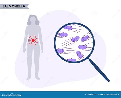 Salmonella Typhimurium Cells Stock Vector Illustration Of