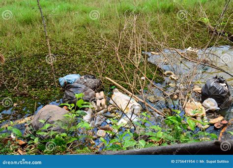 Plastic Waste In The Water Forest Water Pollution Plastic Waste Ecology
