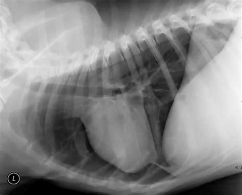 General Things To Remember Flashcards Quizlet