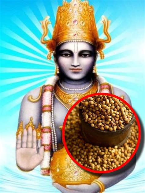 धनतेरस के दिन खरीदे गए धनिये का पूजा के बाद क्या करें Tv9 Bharatvarsh