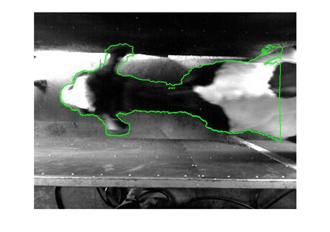 Matlab Running Feature Extraction On Region Within A Boundary Stack