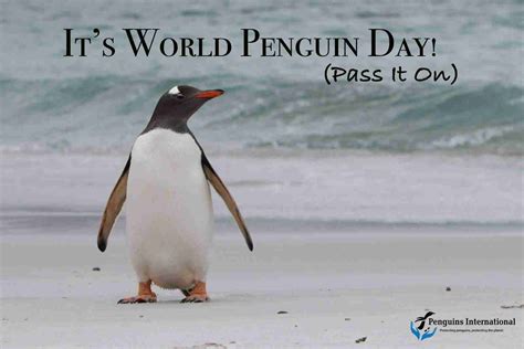 Penguins International World Penguin Day Penguin Conservation Status