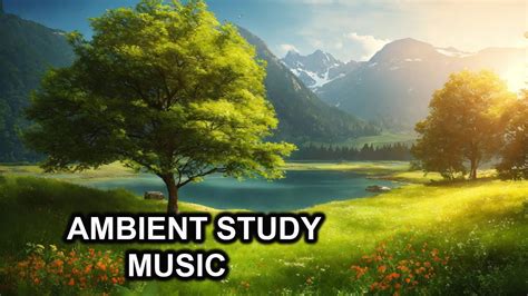 SANJOY RELAXE MUSIC Ambient Study Music Super Relaxing Music Peaceful