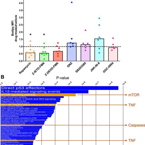 Role Of Tnfr Mediated Pathways In Lipid Droplet Formation In M Download Scientific Diagram