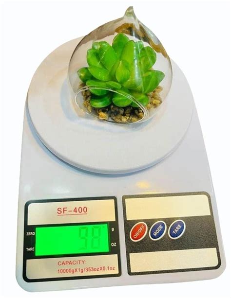 Digital Essae Jx Series Electronic Weighing Scale For Jewellery Shop