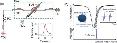 A Experimental Setup Tdl Tunable Diode Laser Pc Polarization