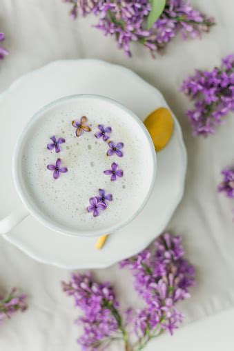 베이지 색 배경에 카푸치노의 머그잔 라일락 꽃 집에서 쉬십시오 격리 격리에 대한 스톡 사진 및 기타 이미지 격리 구이 꽃 식물 Istock