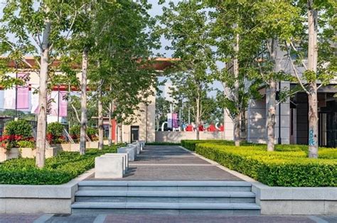 2019园冶杯专业奖 北京工商大学嘉华学院校园改造 空间 运用大型红槭树作为阵列林荫树层层柱廊式的树干加上绿意葱葱的树冠为校园