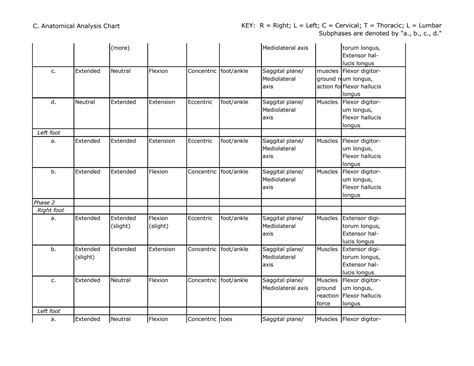 Solution C Anatomical Analysis Chart Sample Pdf Studypool