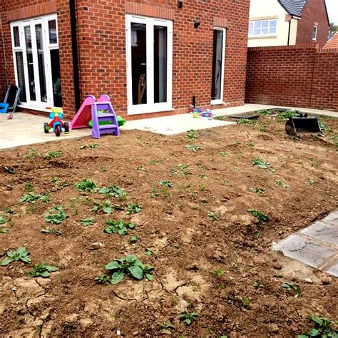 Stockton Garden Transformation Mp Landscapes