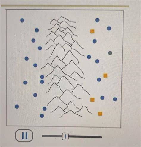 Solved 1 Patterns Of Speciation There Are Many Different Chegg