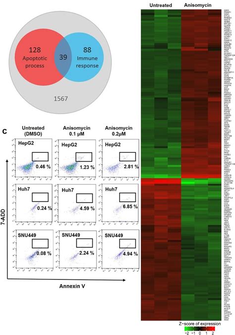 Anisomycin Triggered Apoptosis And Regulated Genes Associated With