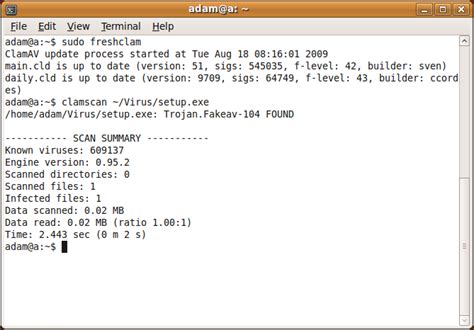 Are EXE Files Safe How To Verify And Avoid Malicious Downloads Tibbsforge