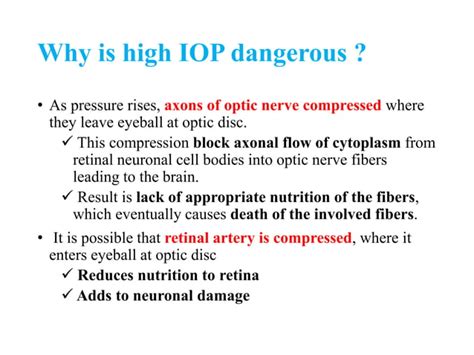 Glaucoma Relevant Anatomy And Physiology Pptx Eye And Vision Conditions Diseases And Conditions