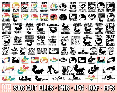 Squirrel Svg Bundle Cricut Squirrel Png Bundle Squirrel Shirt Design