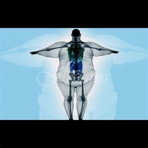 Плосък корем за 1 седмица За Жената