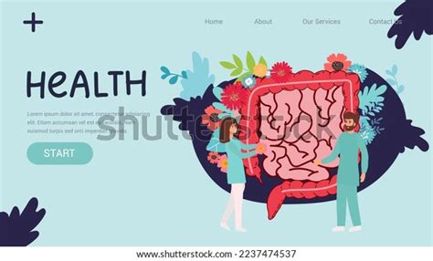 Gut Organ Medical Checkup Health Intestine Stock Vector Royalty Free