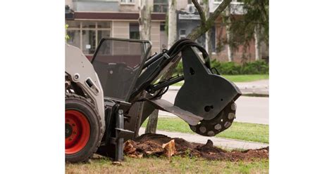 Springfield Tree Trimming Removal Service Introduces Exclusive Stump Removal For Missouri