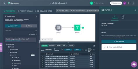 Getting Started With Datameer