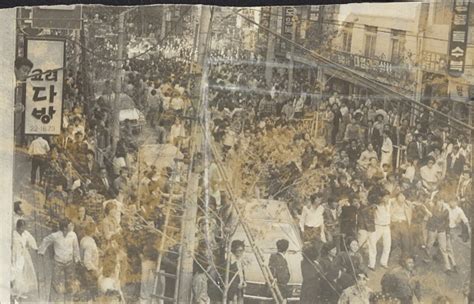 한국방송뉴스