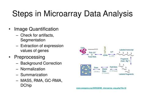 Ppt Mdms A Web Tool To Manage And Analyze Gene Expression Microarray