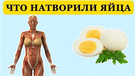 Ела по 2 яйца в день и вот что произошло с моим телом Youtube