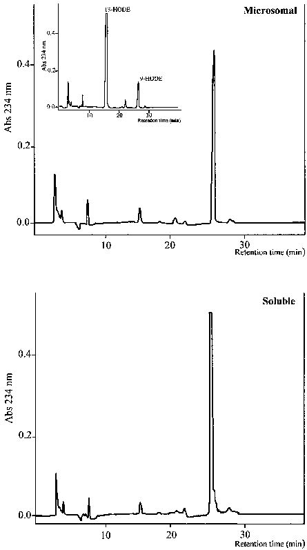 Hplc Analysis Of Hydroxy Fatty Acids Produced By Soluble And Microsomal