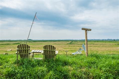 3 Cow Sitting Lawn Chair Royalty Free Photos And Stock Images