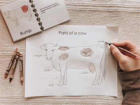 Anatomy And Physiology Of Farm Animals Ppt Chinese Kenpo Techniques Pdf
