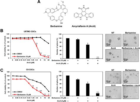 Figure 1 From Synergistic Anticancer Effect Of A Combination Of
